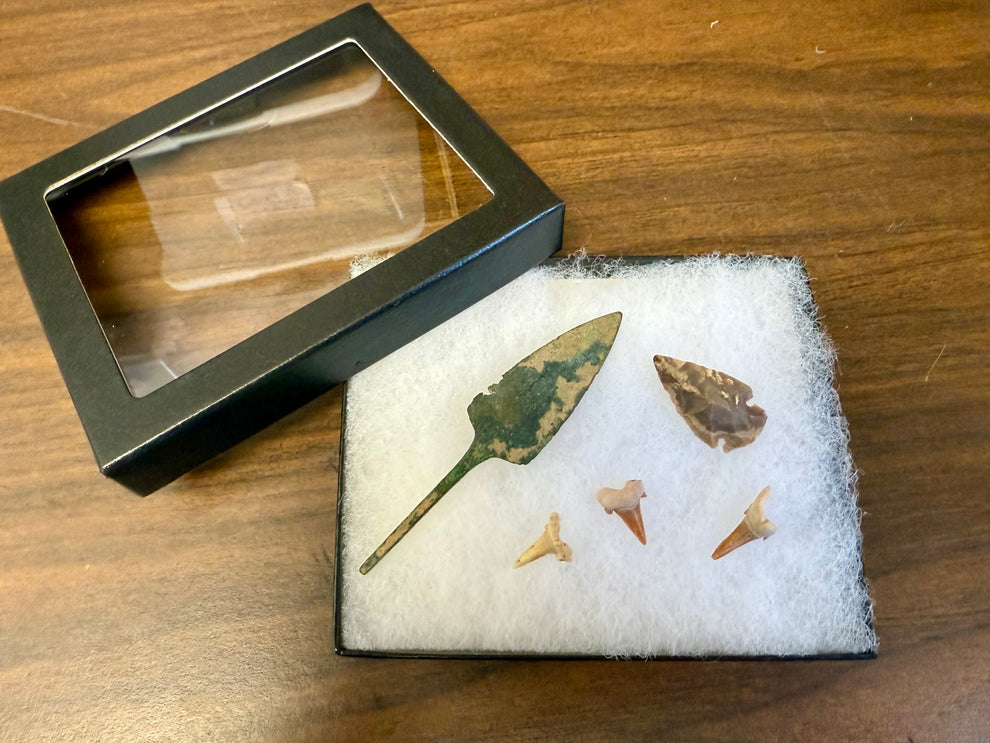 Riker Mount Frames for Insects, Butterflies, Beetles, Collectibles ...