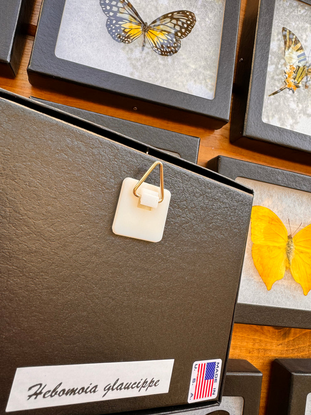 ADD ON Wall HANGER for Riker Mount frames – Little Caterpillar Art