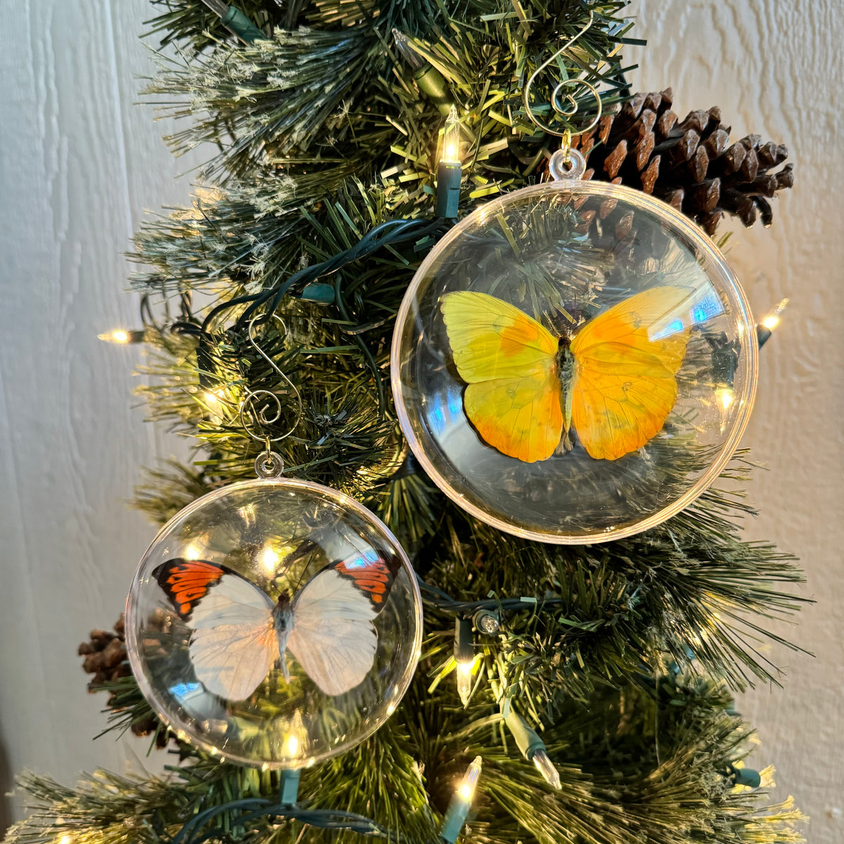 REAL Butterfly Christmas Tree Ornaments – Little Caterpillar Art