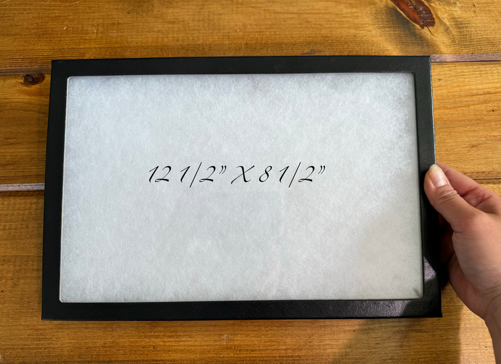 Riker Mount Frames for Insects, Butterflies, Beetles, Collectibles ...