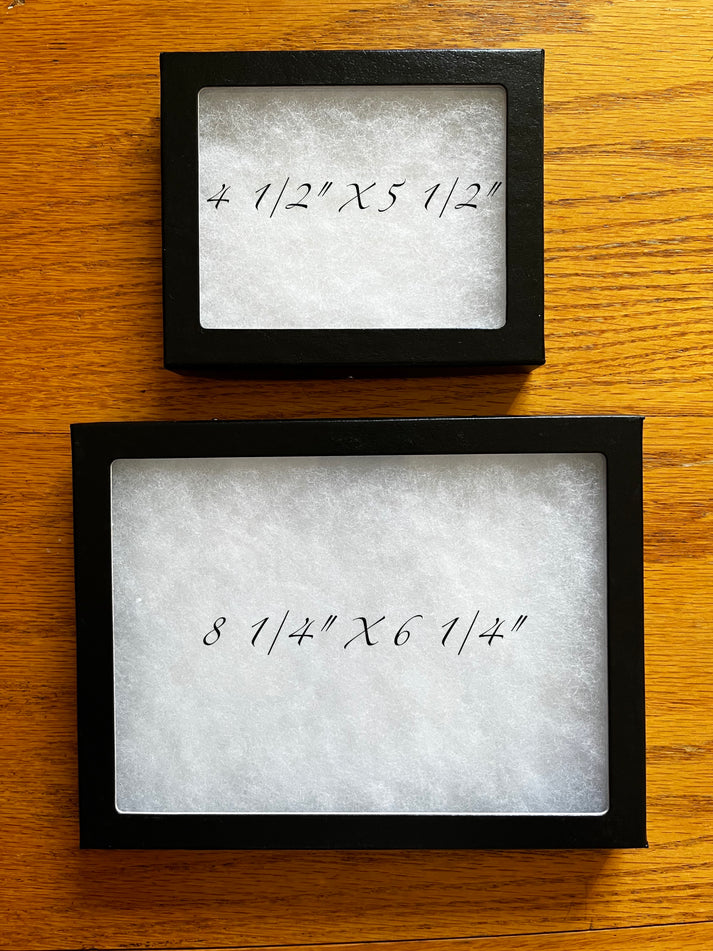 Riker Mount Frames for Insects, Butterflies, Beetles, Collectibles ...